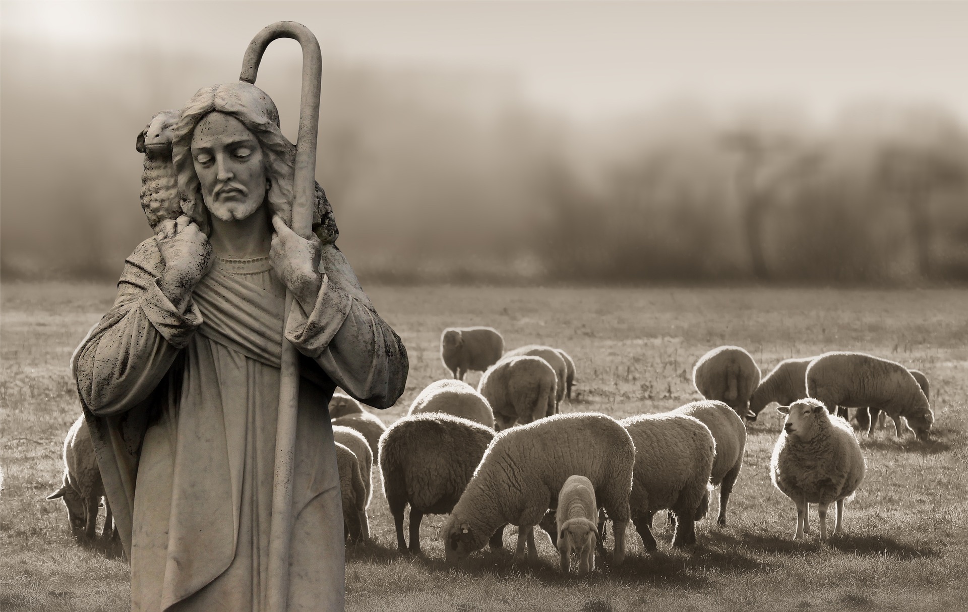 Everyday Blessing: THE SHEPHERD (GEMBALA) | MPK Indonesia